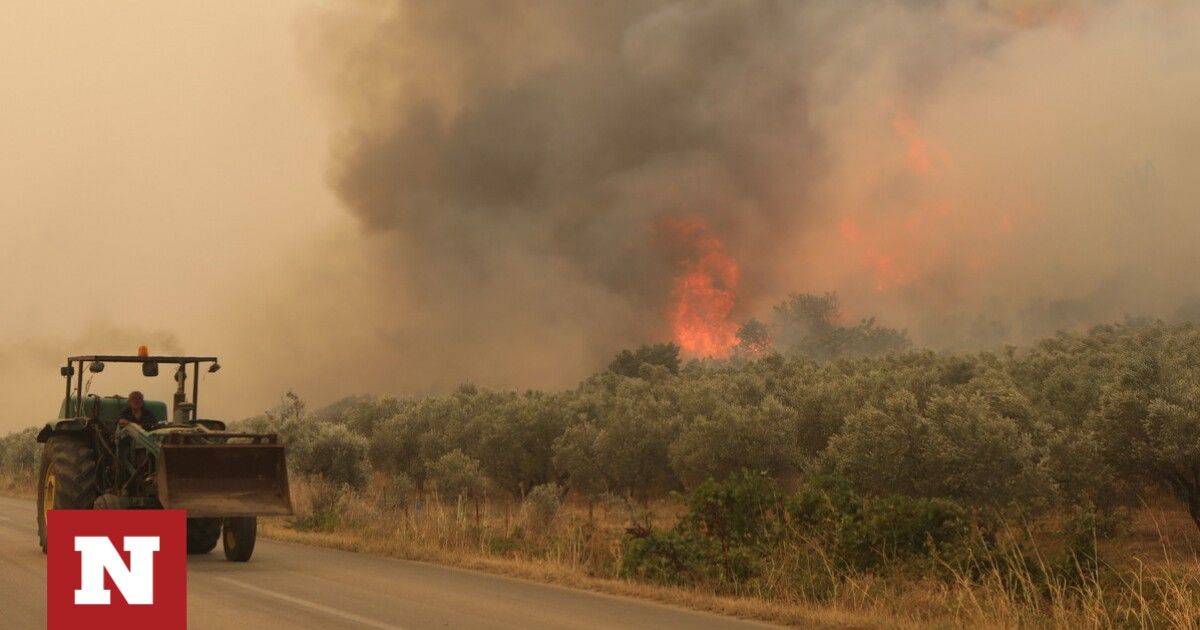 Φωτιά στον Έβρο: Πύρινος εφιάλτης για 11η μέρα – Ολονύχτια μάχη με τις ...