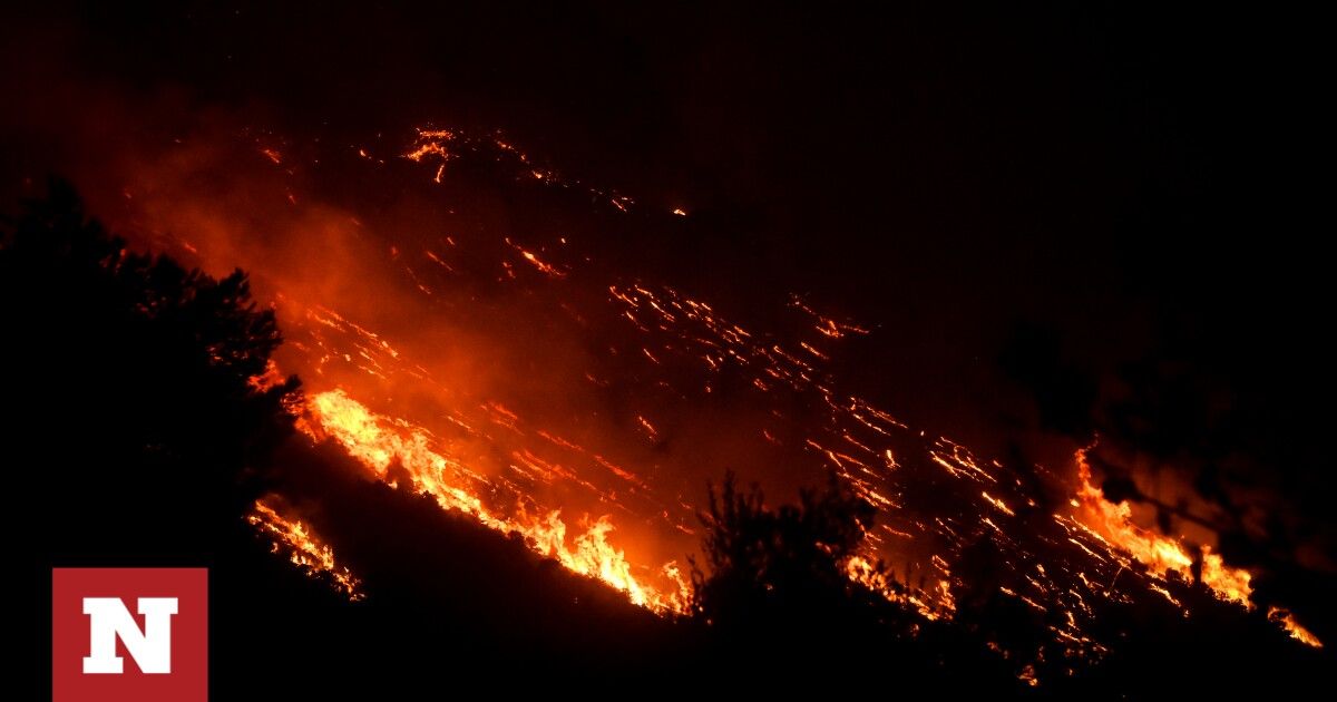 Φωτιά τώρα στη Χίο: Επιχειρούν ισχυρές πυροσβεστικές δυνάμεις - Newsbomb
