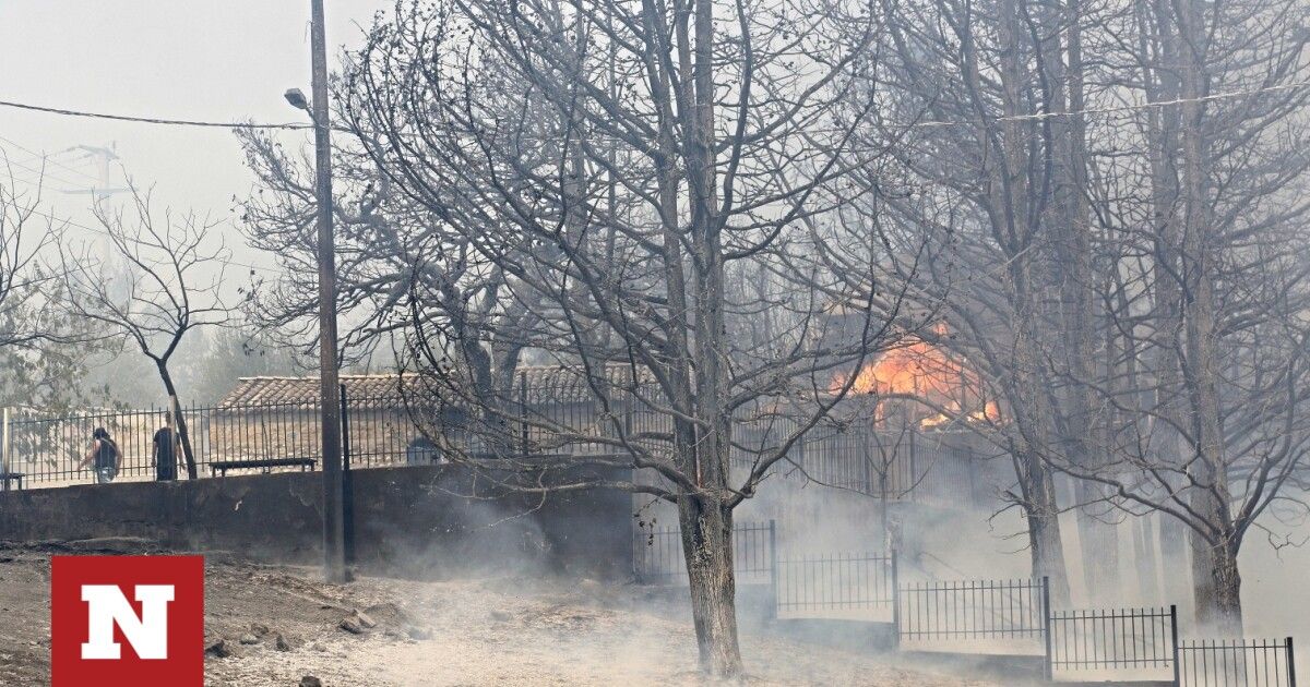 Φωτιές: Φυλάκιση έως 3 έτη για τους εμπρηστές – Το νέο νομοσχέδιο του ...