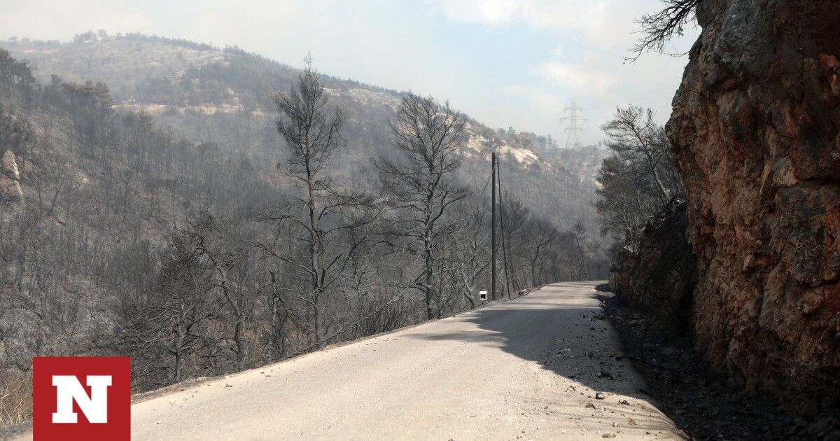 Κακοκαιρία: Στη Χασιά οι κάτοικοι ζουν με τον φόβο πλημμυρών μετά τις ...