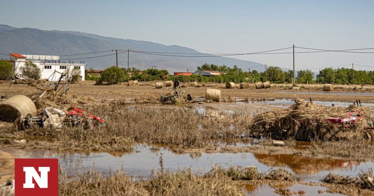 Κακοκαιρία Daniel: Υγειονομική «βόμβα» με χιλιάδες νεκρά ζώα σε χωράφια ...