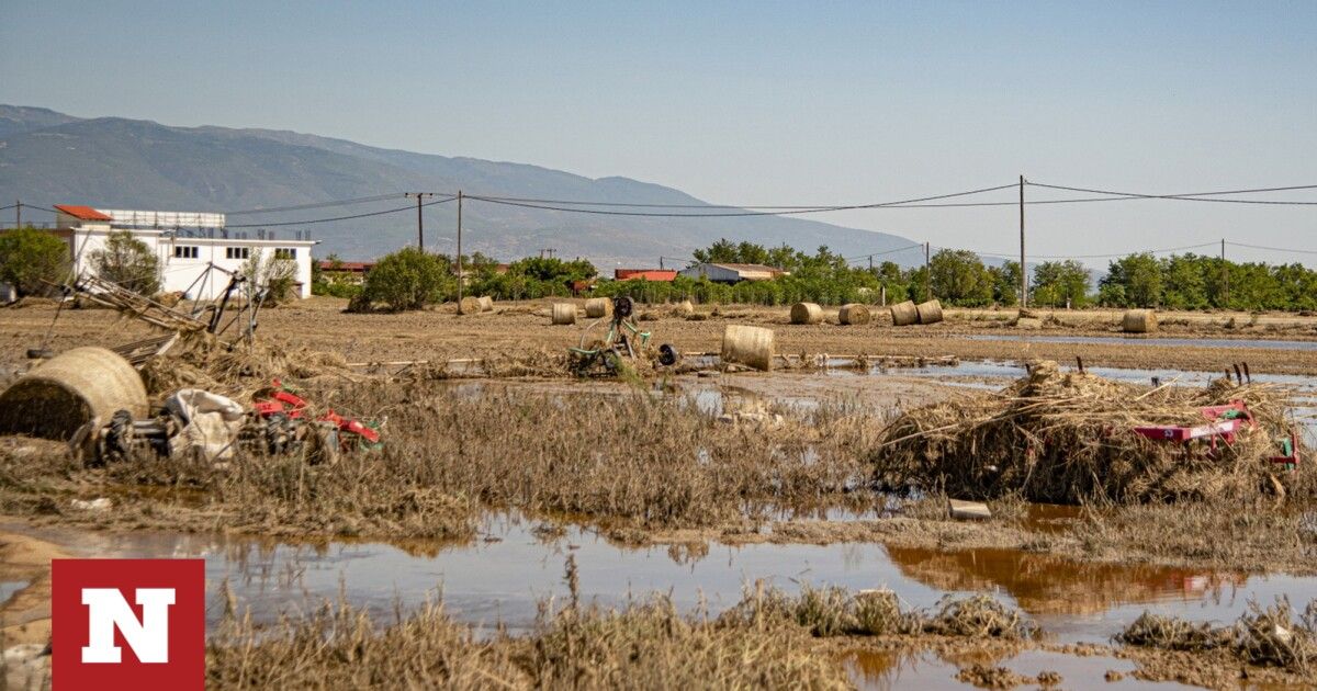 Η Θεσσαλία μετράει πληγές: Κίνδυνος τα νεκρά ζώα και οι λάσπες ...