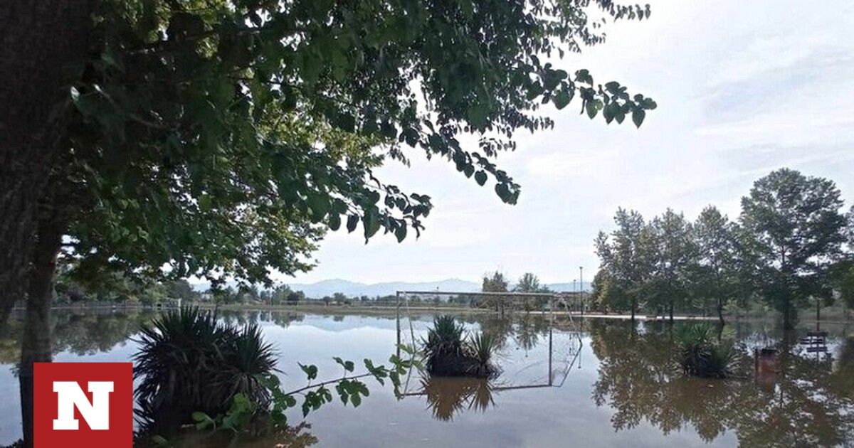 Θεσσαλία: Τα λιμνάζοντα νερά αυξάνουν τα κουνούπια – Κίνδυνος έξαρσης ...