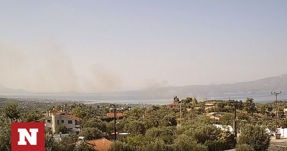 Πυρκαγιά στο Μαρκόπουλο Ωρωπού - Εναέριες δυνάμεις στη μάχη της ...