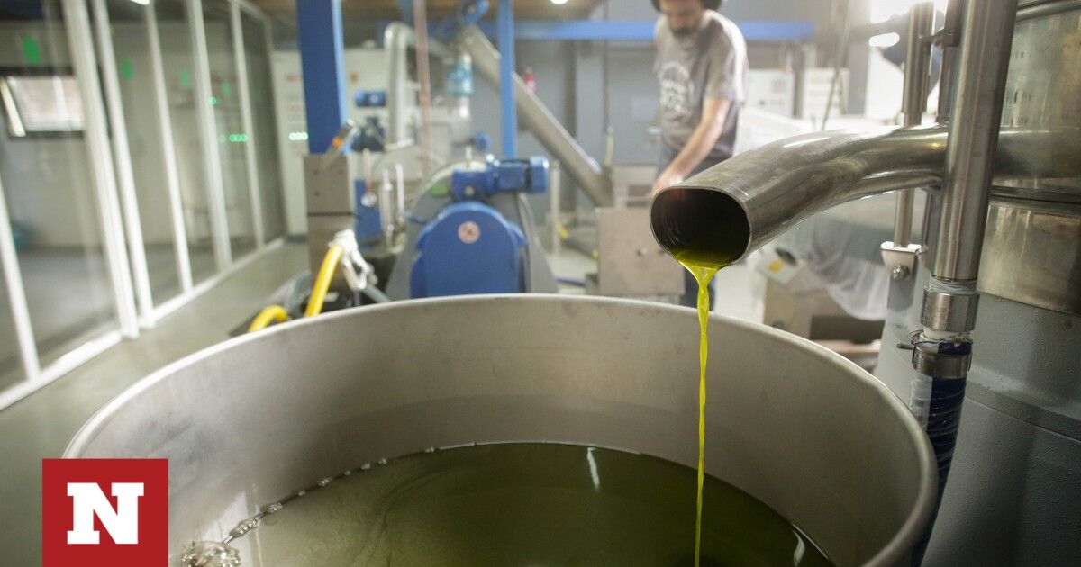 Ελαιόλαδο: Δυο μήνες θα δουλέψουν φέτος τα ελαιοτριβεία - Μείωση ...