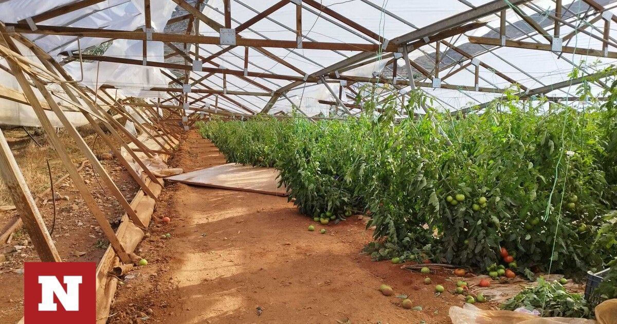 Ανεμοστρόβιλος «χτύπησε» τα Φαλάσαρνα: Τρομερές καταστροφές σε ...