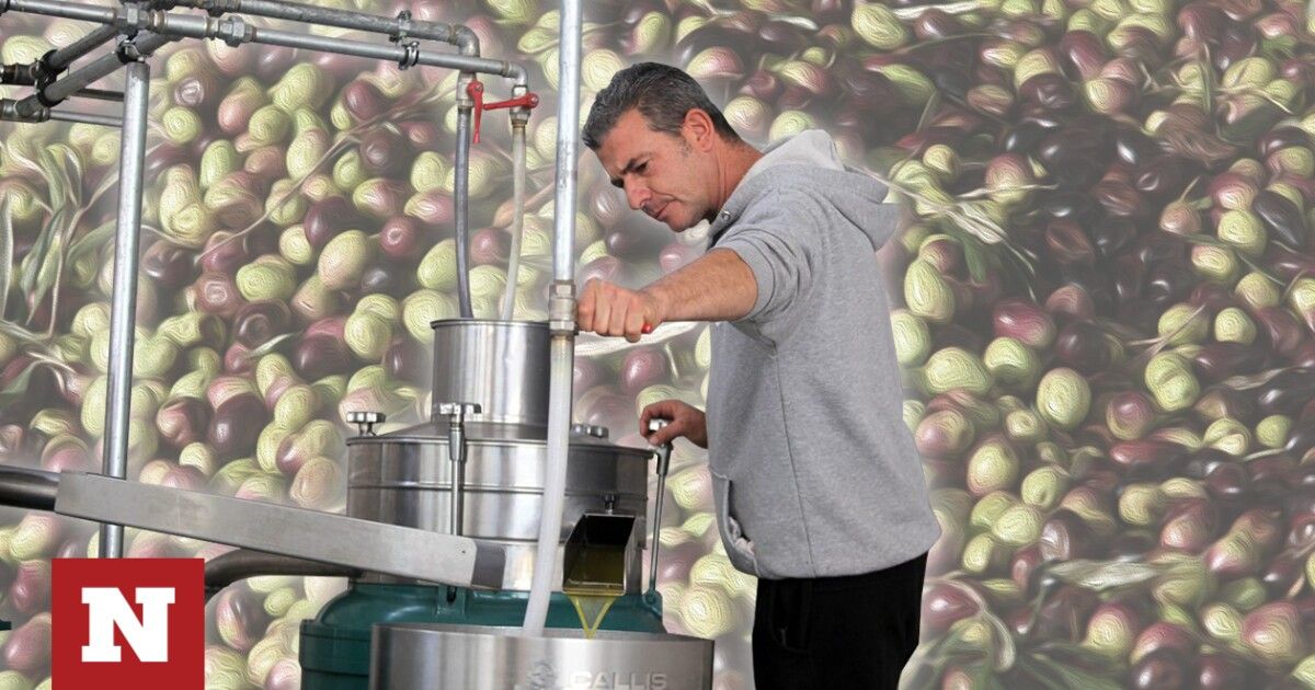 Ένα ελαιοτριβείο στο Πολυδένδρι με ιστορία 93 ετών «αποκαλύπτει» τα ...