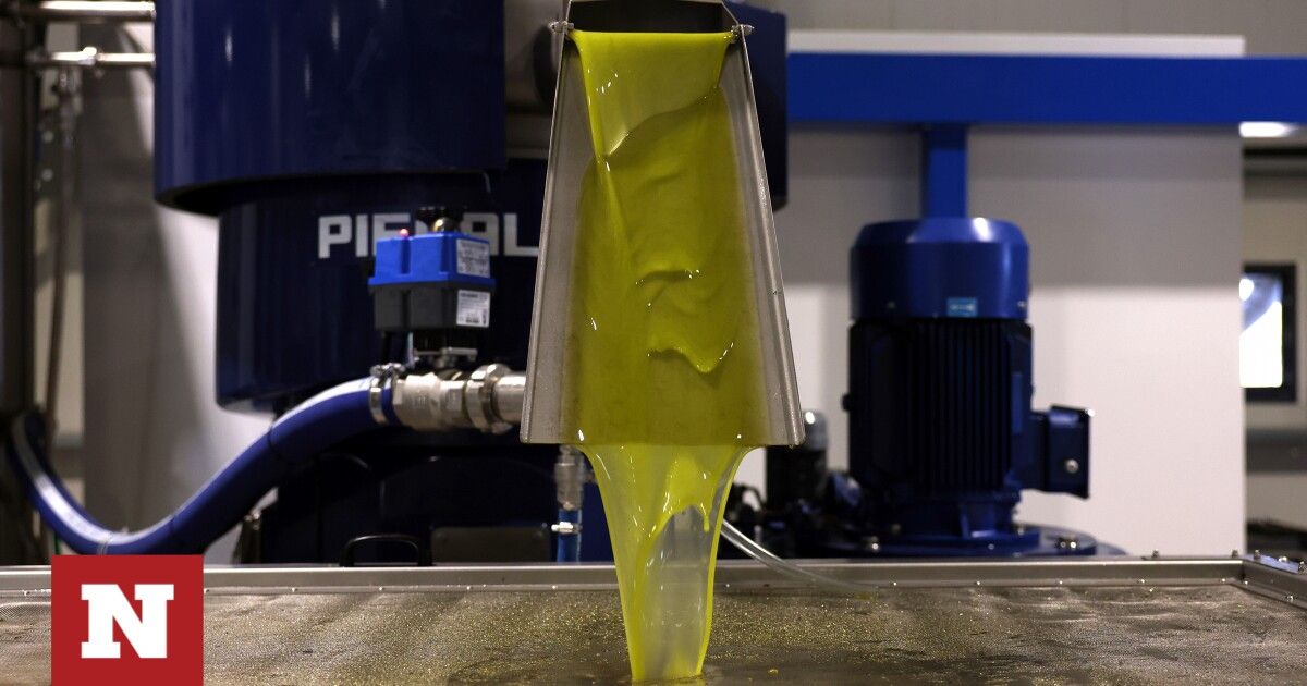 Ελαιόλαδο: Ανεβαίνουν ξανά οι τιμές - Πάει και επισήμως για τα 200 ευρώ ...