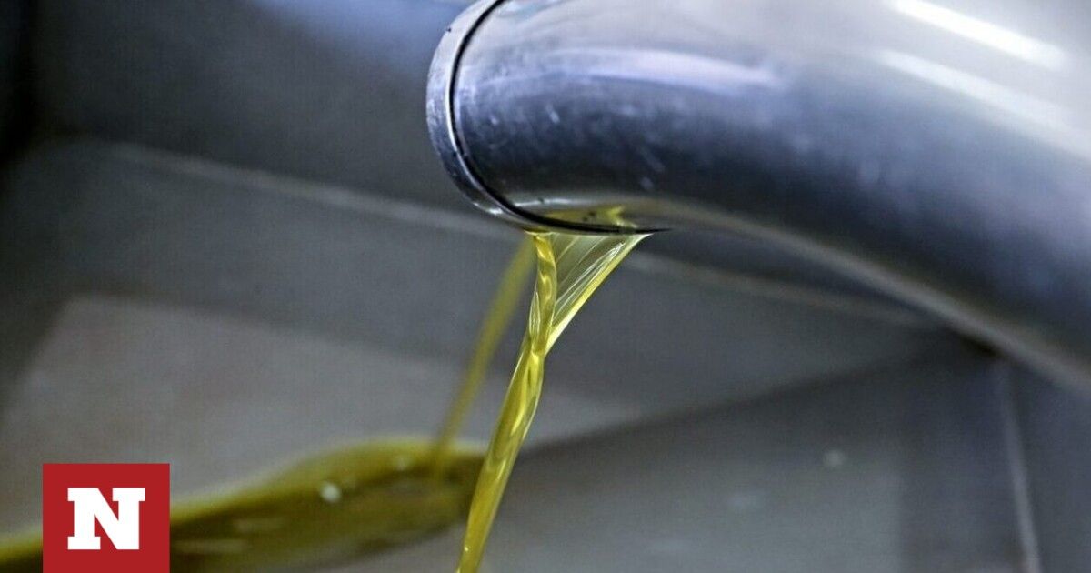 Ελαιόλαδο: Απόγνωση με το ράλι της τιμής - Πόσο θα φτάσει στη χονδρική ...