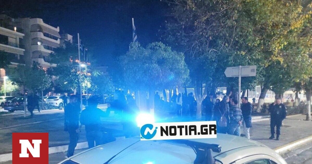 Ο Δήμαρχος Αλίμου για τη σοκαριστική μαζική επίθεση ανηλίκων σε πάρκο ...