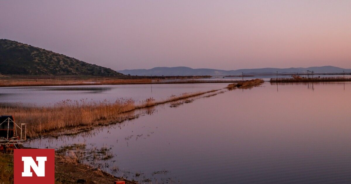 ΕΛΓΑ: 100% αποζημιώσεις για το 2023 – Ξεκινούν από 20 Φεβρουαρίου ...