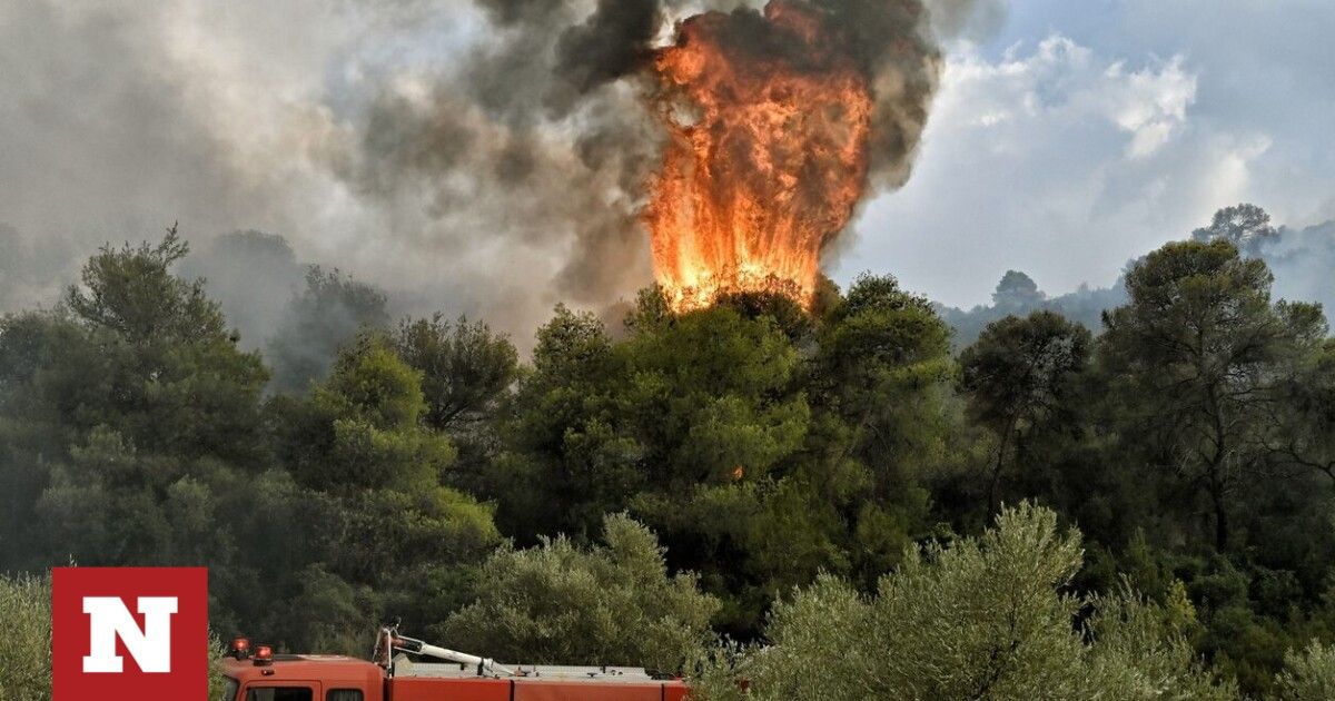 Ζάκυνθος: Υπό πλήρη έλεγχο η πυρκαγιά στην περιοχή Εξωχώρα – Κάηκαν ...