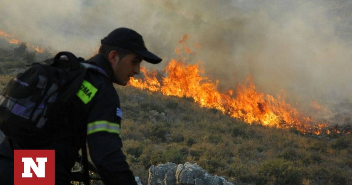 Συναγερμός για φωτιά σε δασική έκταση στο δήμο Σπάτων - Αρτέμιδος ...