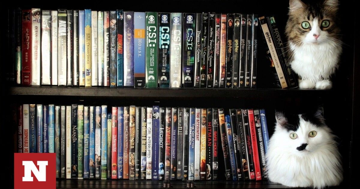 Δεν φαντάζεστε ποιες ήταν οι πρώτες ταινίες που κυκλοφόρησαν σε DVD - Newsbomb