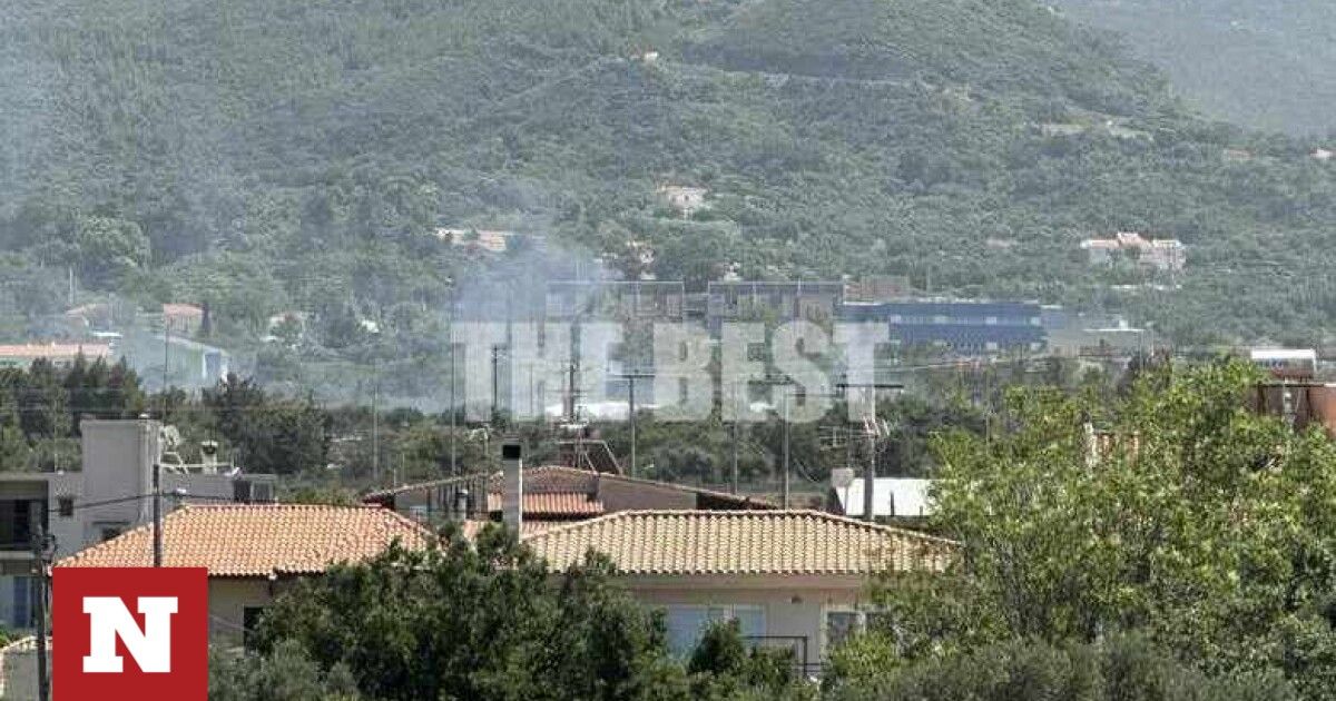 Φωτιά στην Πάτρα: Καίει κοντά σε οικισμό, εκκενώθηκαν σχολεία στο ...