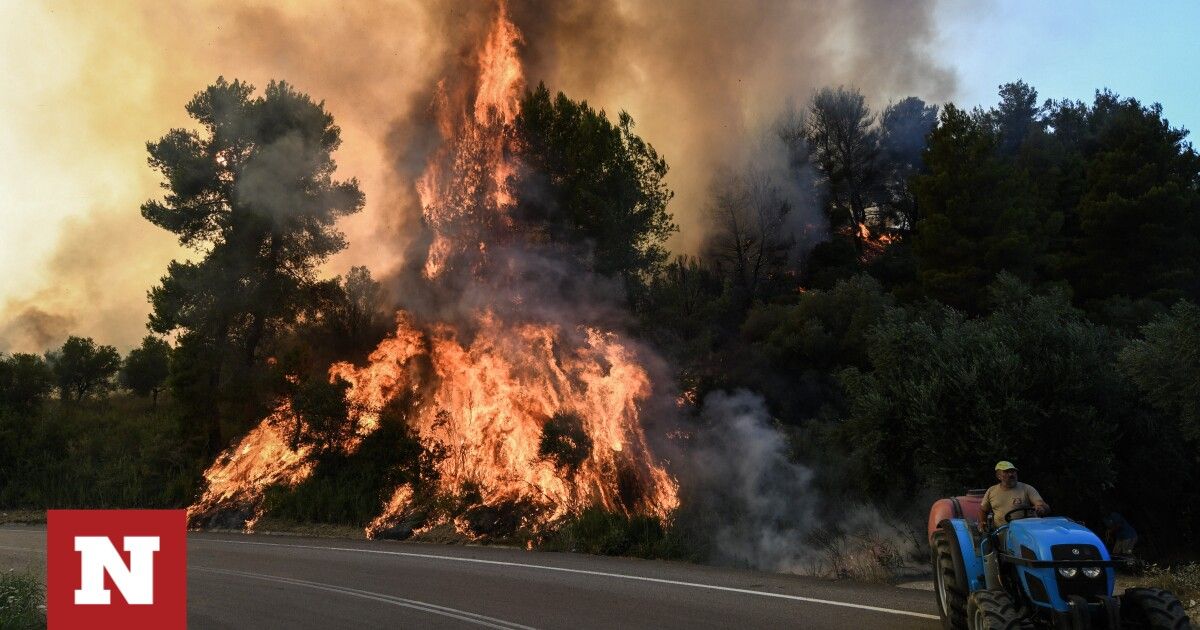 Αντιπυρική περίοδος: Πρόστιμα έως 54.000 ευρώ για την μη τήρηση των ...
