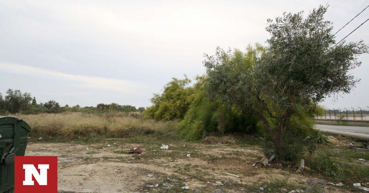 Ακαθάριστα οικόπεδα: Ανακοινώθηκε παράταση στις δηλώσεις - Τα πρόστιμα ...
