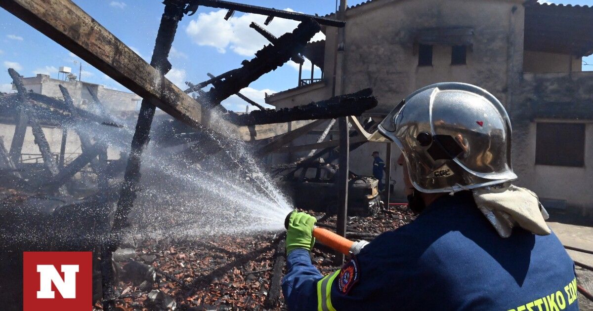 Προστασία από τις πυρκαγιές με έμφαση στην πρόληψη και τη «θωράκιση» εν ...