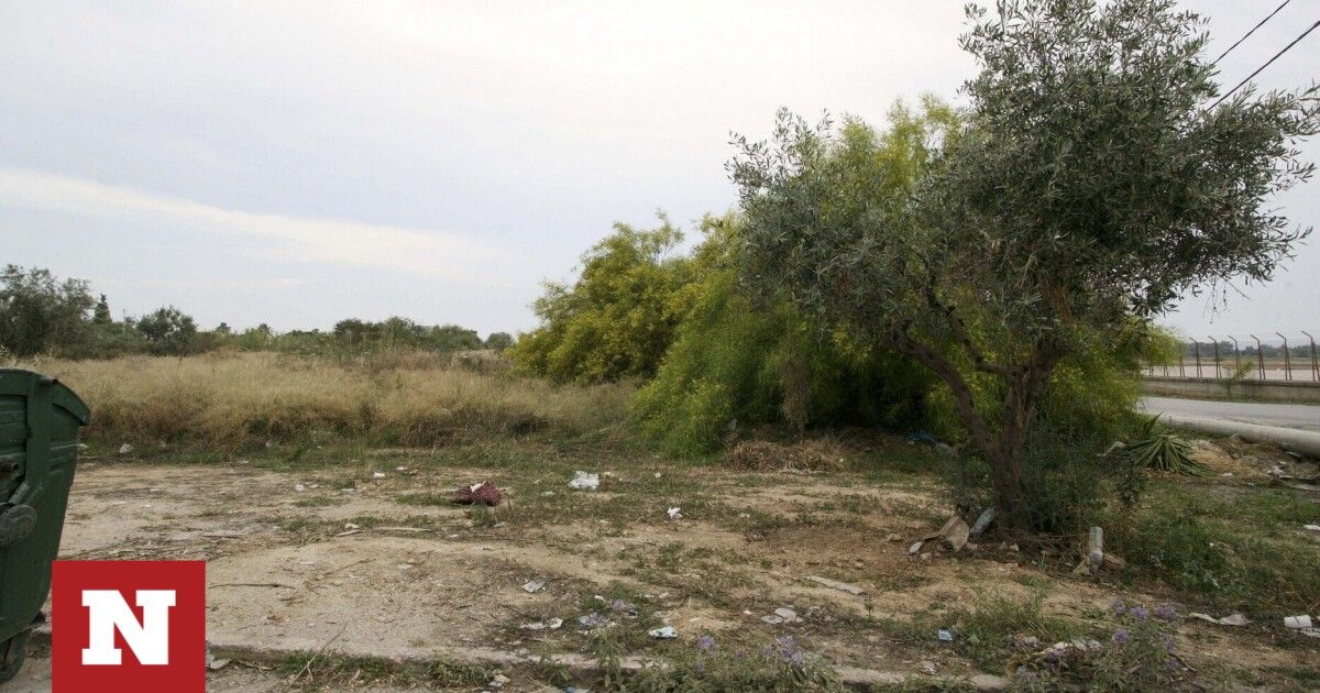 Πυροπροστασία ακινήτων: Προτεραιότητα σε κλάδεμα και καύσιμη ύλη ...