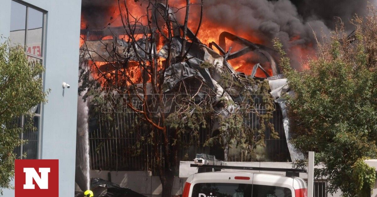 Φωτιά στην Κηφισιά: Πνευμονολόγος Κατσαούνου στο Newsbomb.gr - Newsbomb
