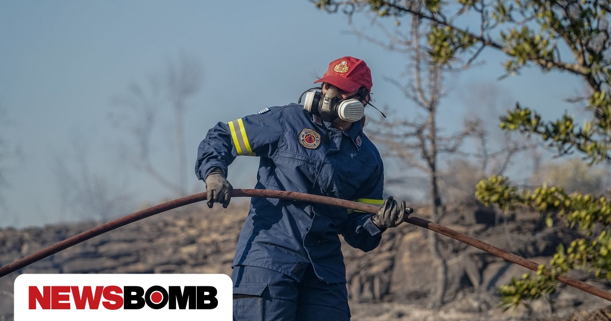 Φωτιά στη Βόλβη: Συναγερμός στην Πυροσβεστική - Εστάλη μήνυμα 112 - Newsbomb