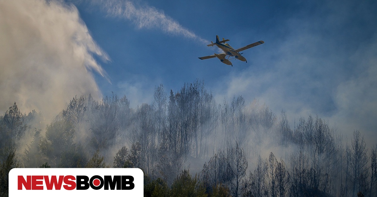 Δήμαρχος Πύργου στο Newsbomb.gr: «Κινδυνεύουν σπίτια, επιχειρούν δύο αεροσκάφη» - Newsbomb