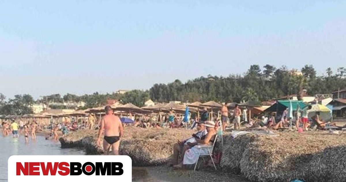 Χαλκιδική: Αποκρουστικές εικόνες σε παραλία στην Ποτίδαια - SOS από τους κατοίκους - Newsbomb