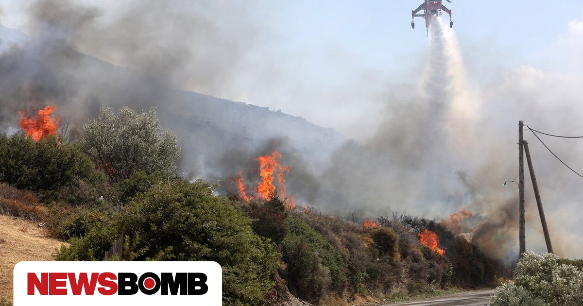 Εύβοια: Νέα φωτιά σε δασική έκταση στη Νέα Αρτάκη - Newsbomb
