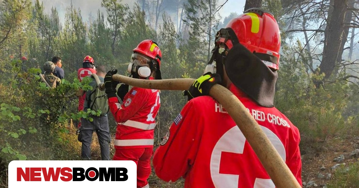 Wildfire on the island of Kos raging out of control; 112 message to ...