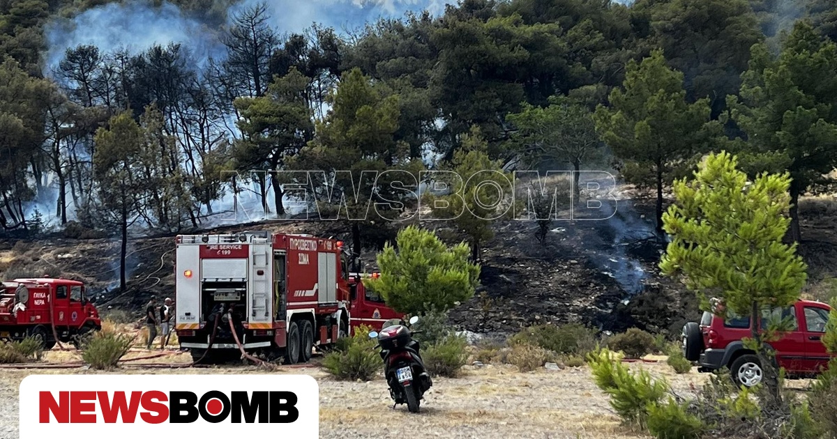 Φωτιά στα Γλυκά Νερά - Newsbomb