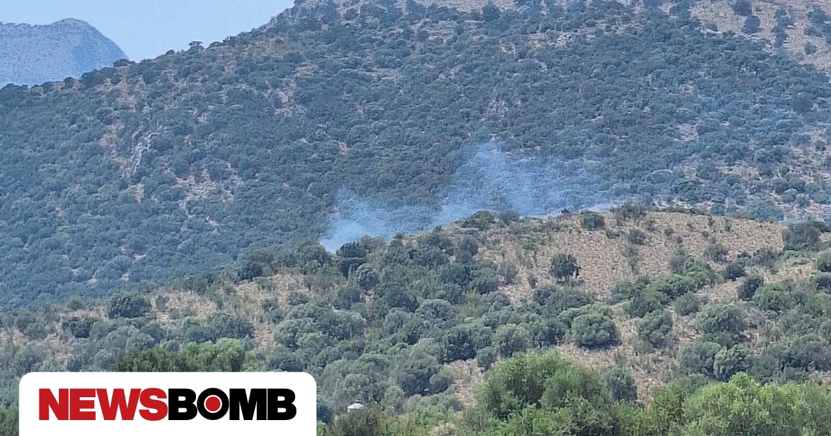 Φωτιά στην Πρέβεζα - Μεγάλη κινητοποίηση της πυροσβεστικής - Newsbomb
