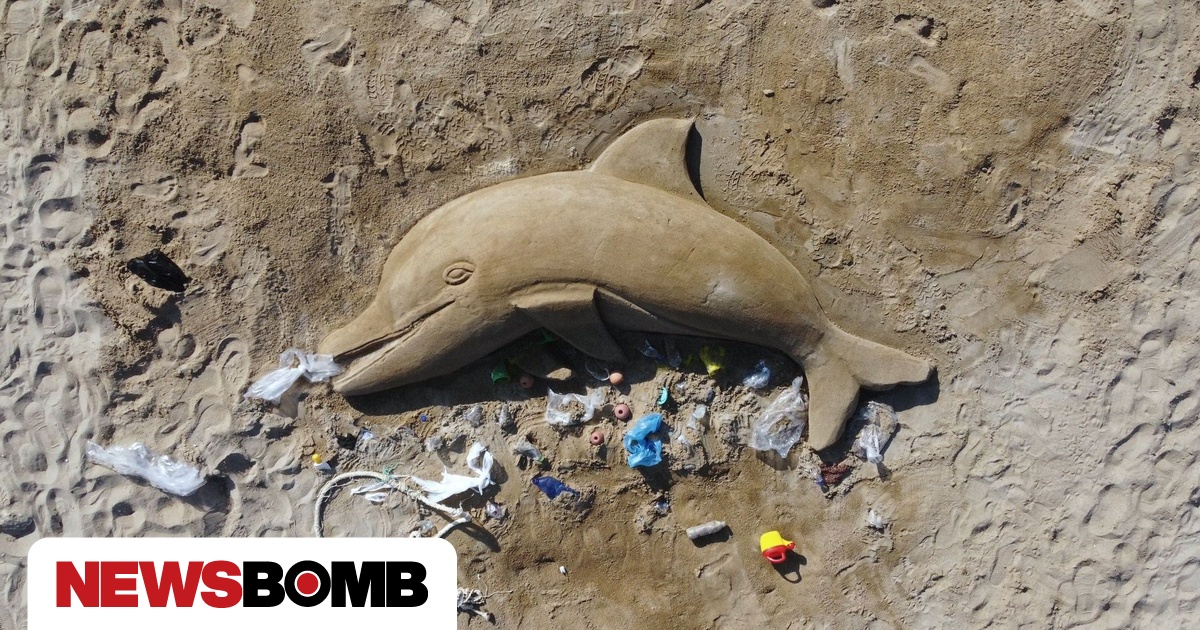 Greenpeace: Στην Αρτέμιδα το εντυπωσιακό γλυπτό ενός δελφινιού από άμμο ...