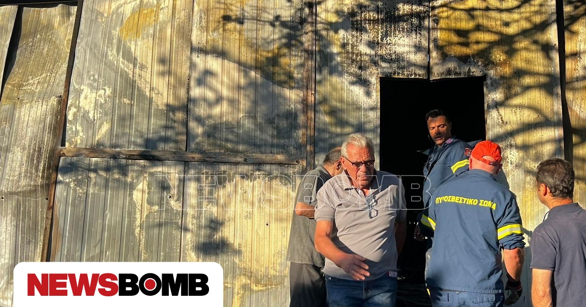 Φωτιά στην Αττική: «Έψαχναν τη Νάντια στο κινητό και δεν απαντούσε ...