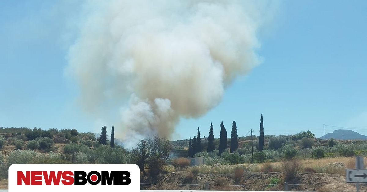 Φωτιά στο Ζευγολατιό - Καίει κοντά στην Εθνική οδο (vid) - Newsbomb