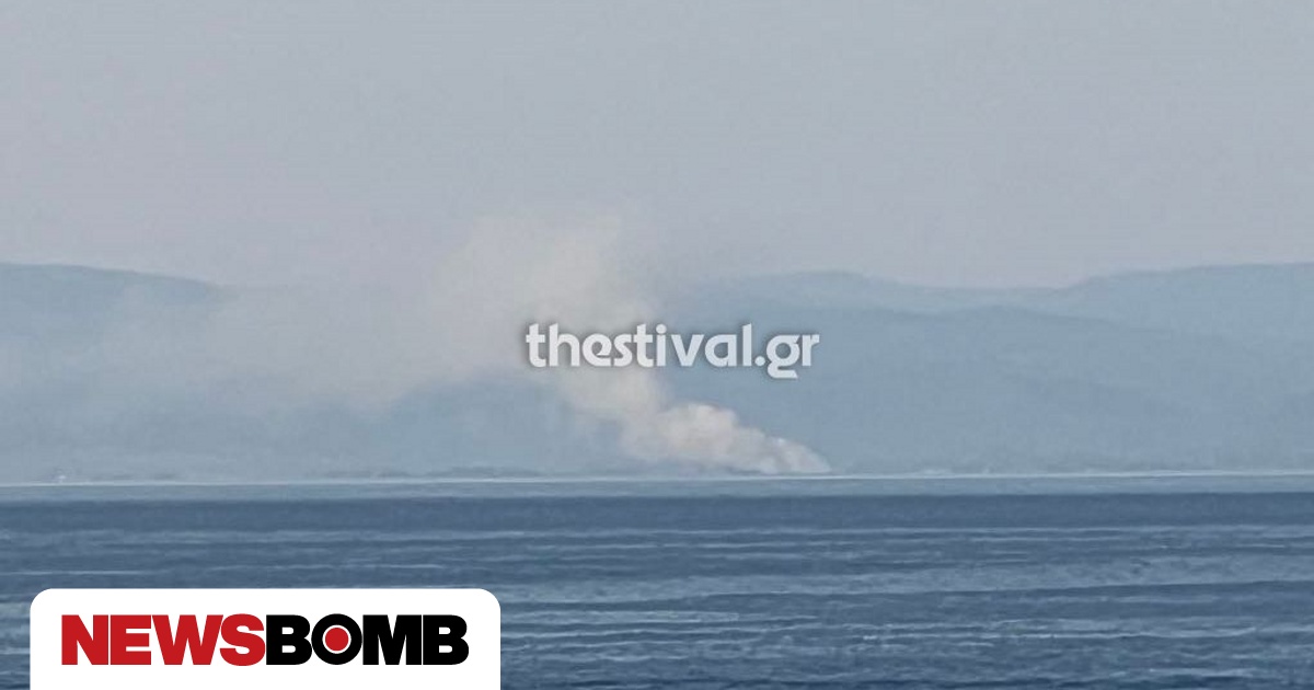 Φωτιά στο δεύτερο πόδι της Χαλκιδικής - Newsbomb