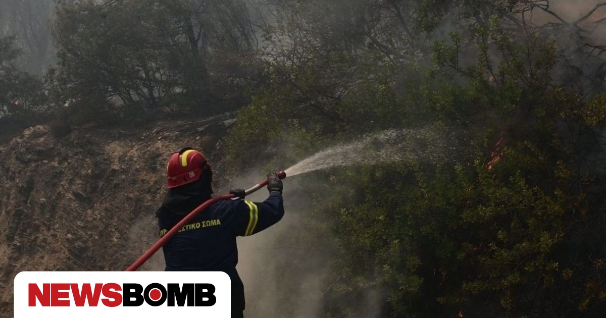 Φωτιά στο Χαλάνδρι - Newsbomb