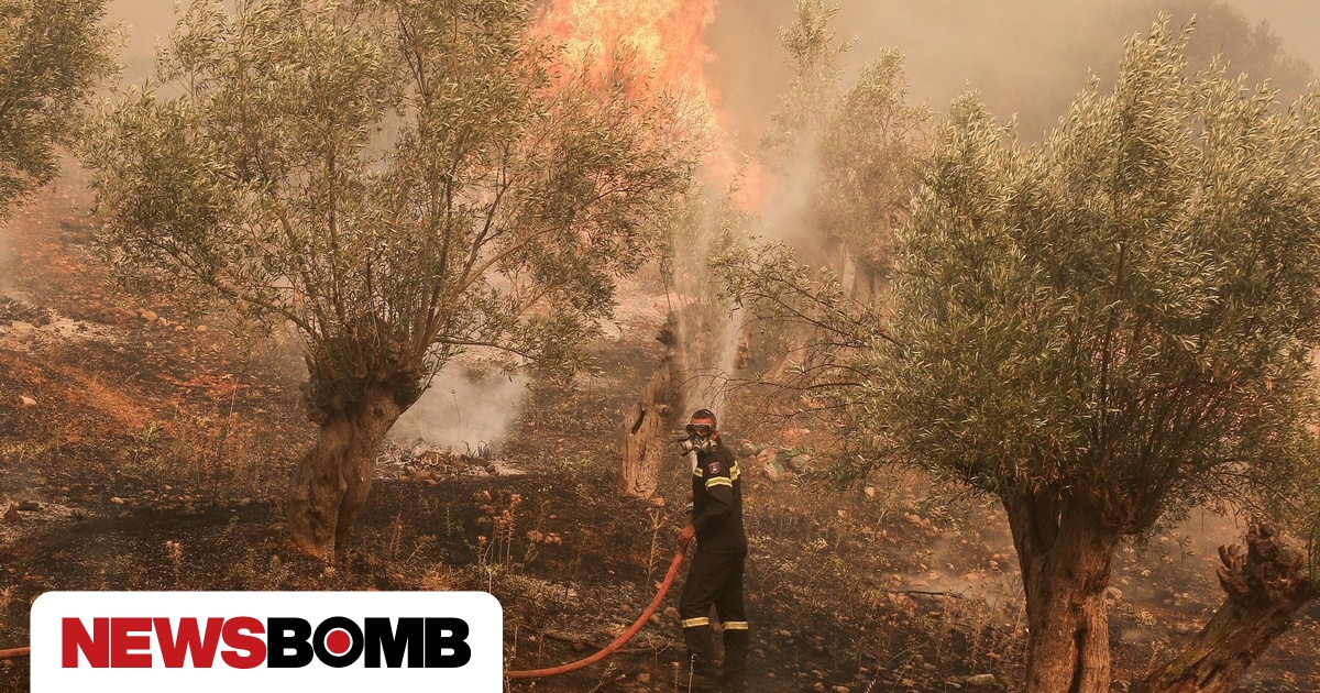 Πολύ υψηλός κίνδυνος πυρκαγιάς σήμερα Παρασκευή σε τέσσερις Περιφέρειες ...