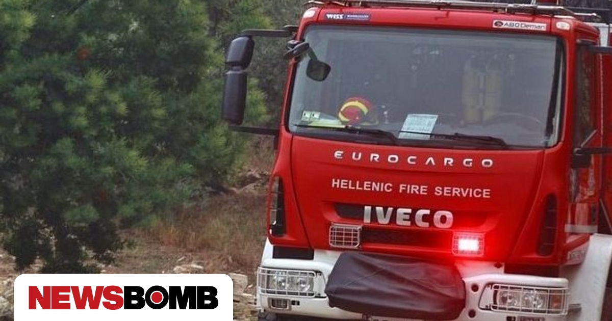 Νέα Μάκρη: Προφυλακιστέοι μάνα και γιος για τους εμπρησμούς - Newsbomb