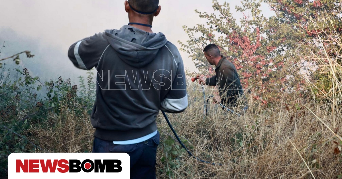 Φωτιά στην Κορινθία: Έκκληση στον Βασίλη Κικίλια μέσω του Newsbomb.gr - «Έχουν καεί πάνω από 30 ...