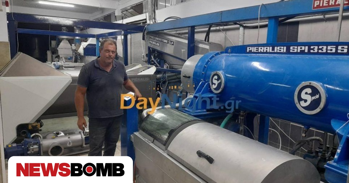 Απελπισμένοι οι ελαιοπαραγωγοί στο Ρέθυμνο: «Πέρυσι βγάλαμε 350 τόνους λάδι και φέτος 50» - Newsbomb