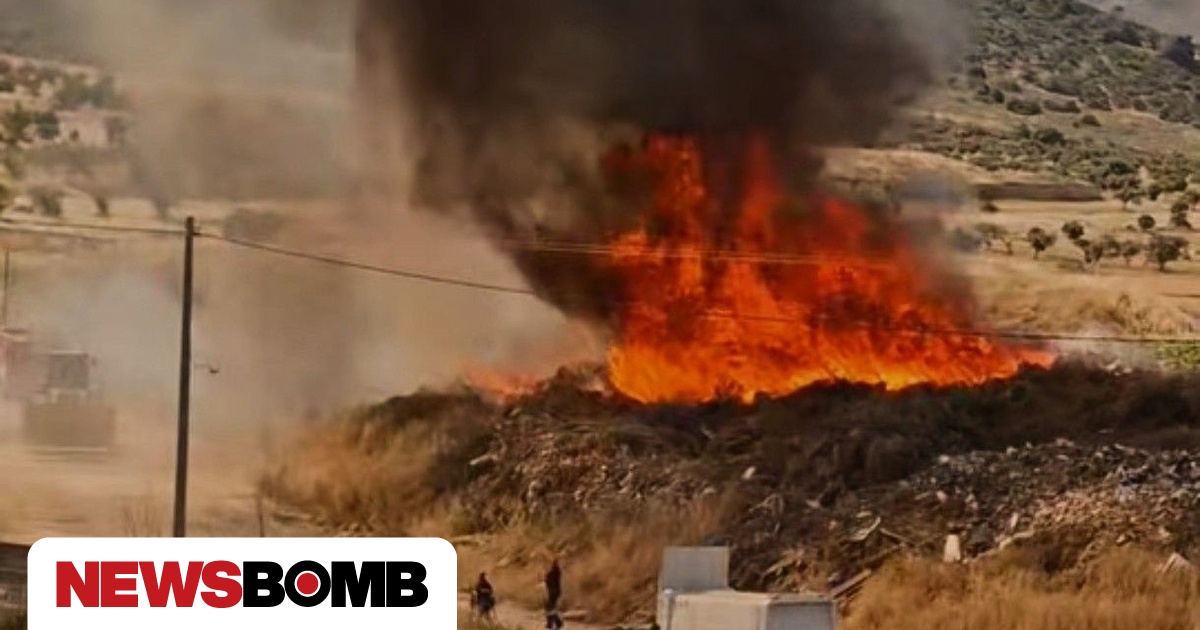 Φωτιά στο Μαρκόπουλο: «Μείνετε σε εσωτερικούς χώρους» - Ήχησε το 112 - Δείτε εικόνες - Newsbomb