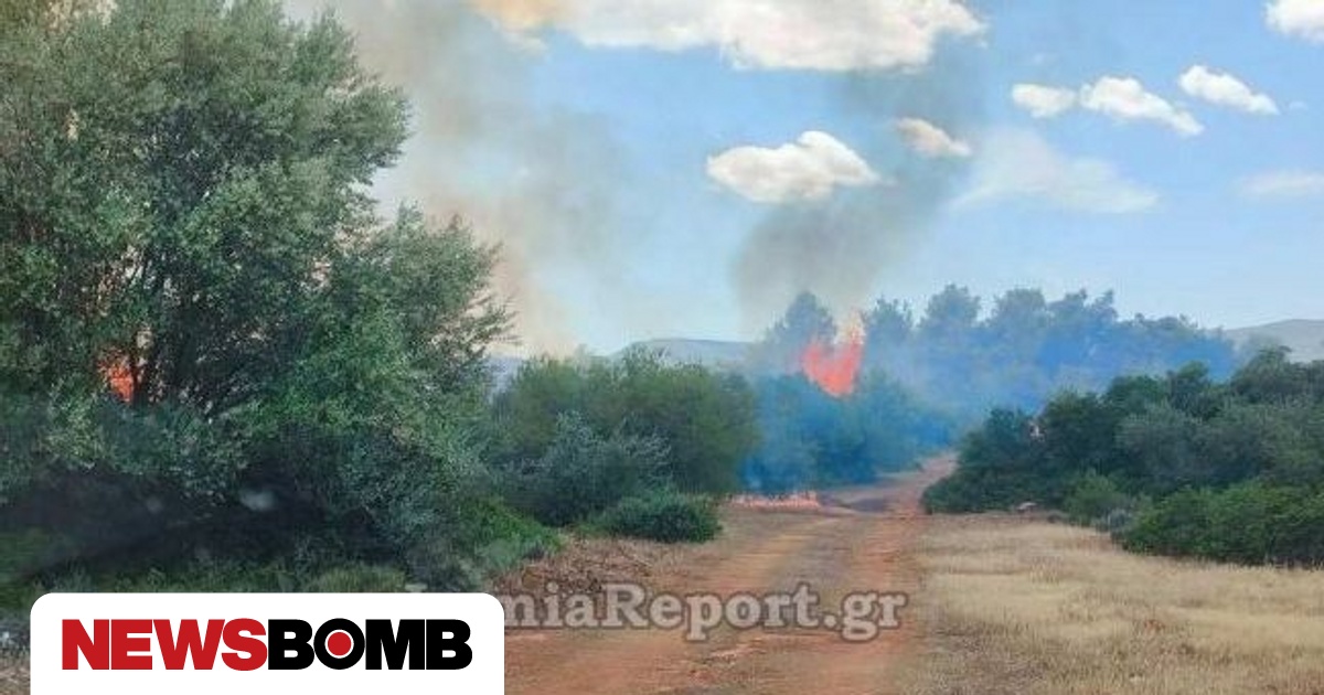 Φωτιά στη Ριτσώνα: Σύλληψη και πρόστιμο 2.250 ευρώ - Newsbomb