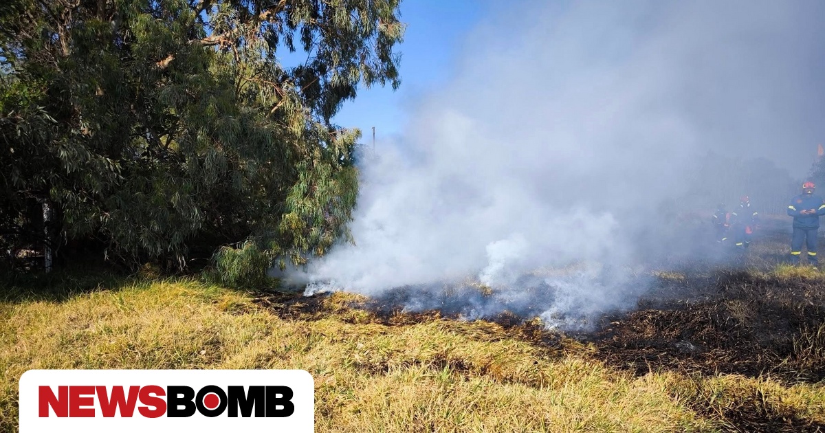 Φωτιά τώρα στα Χανιά: Καίει κοντά σε ξενοδοχεία – Ήχησε το «112» - Newsbomb