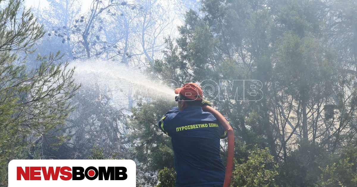 Μεγάλη φωτιά στον Μαραθώνα: Ήχησε 112 στο Άνω Σούλι - «Εκκενώστε προς ...