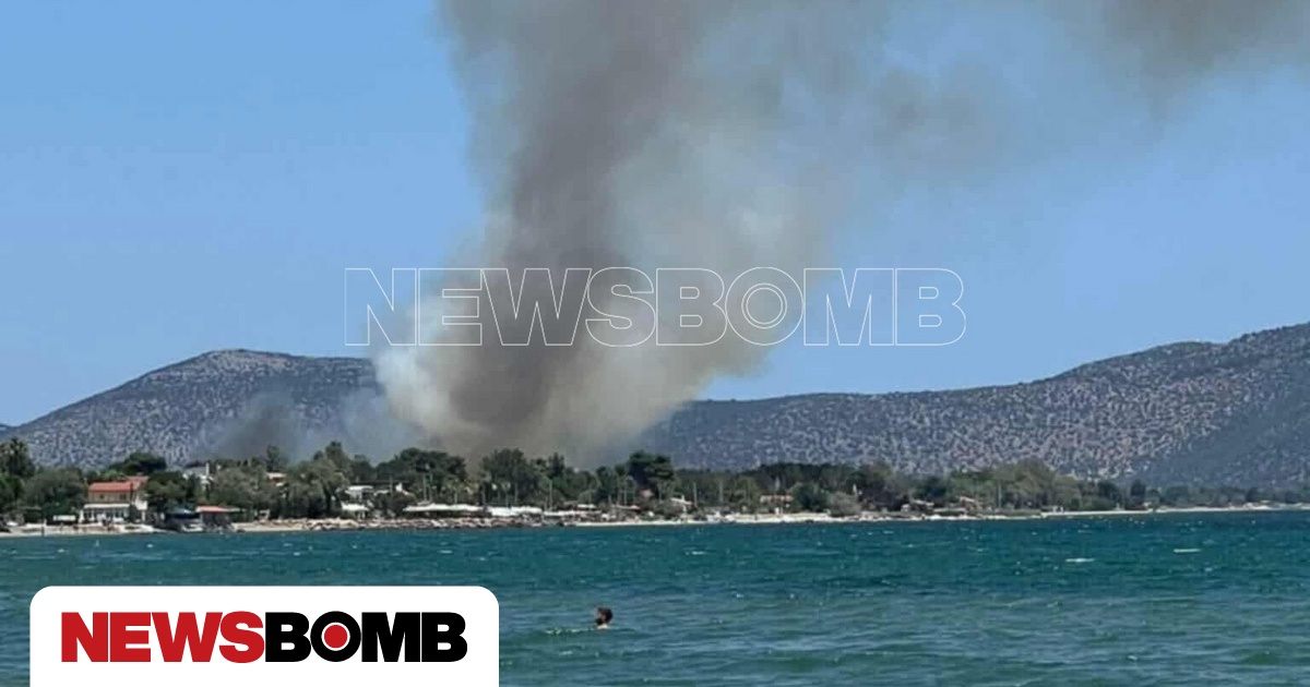 Μαραθώνας: Υπό έλεγχο η φωτιά στο Ριζάρι - Νωρίτερα είχε ηχήσει μήνυμα 112 - Newsbomb