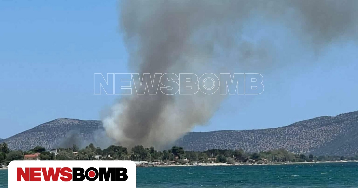 Μεγάλη φωτιά τώρα στον Μαραθώνα - Ήχησε το 112 - Newsbomb