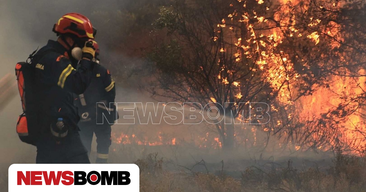 Σε ύφεση η φωτιά στον Ωρωπό μετά το ολονύχτιο «θρίλερ» - «Έγλειψε» τις αυλές των σπιτιών - Newsbomb