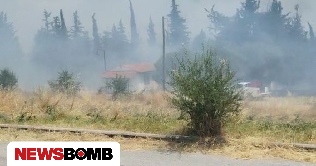 Φωτιά στη Θεσσαλονίκη – Επιχειρούν και 4 εναέρια μέσα, ήχησε το «112» - Newsbomb