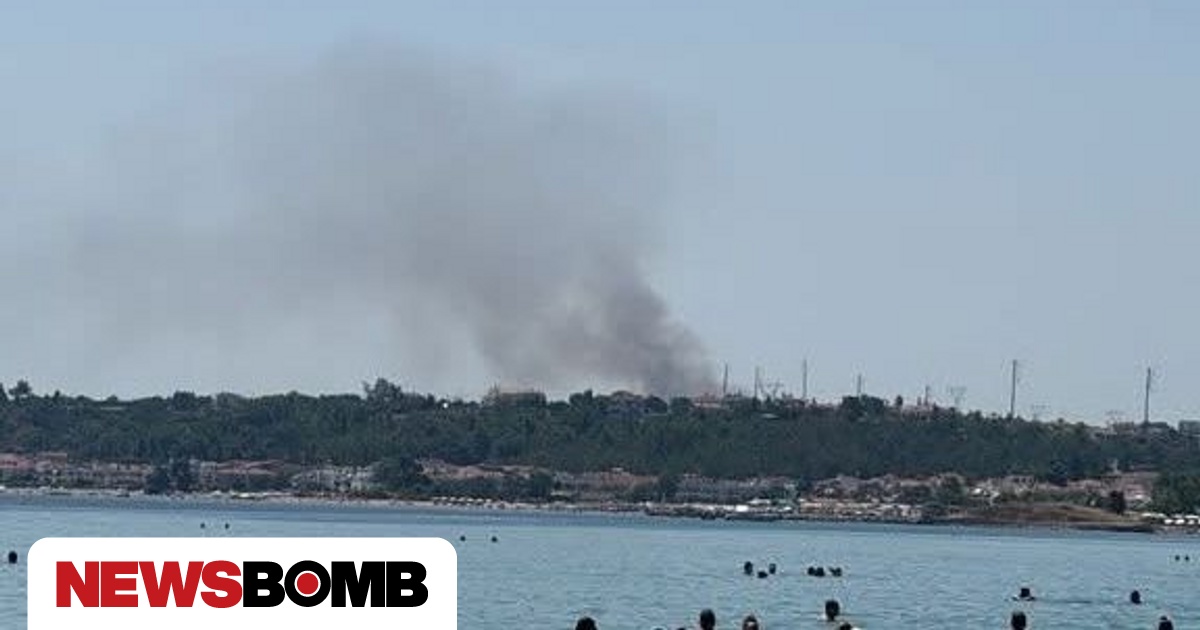 Φωτιά τώρα στη Χαλκιδική - Newsbomb