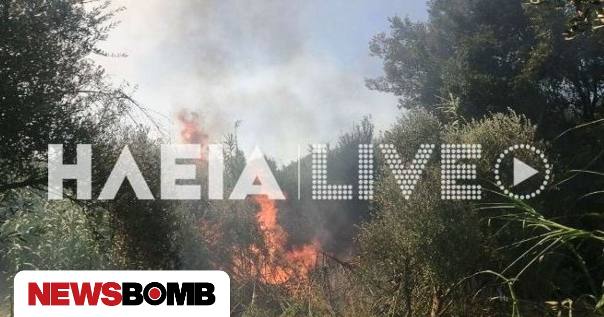 Μεγάλη φωτιά στην Μέλισσα Λεχαινών Ηλείας - Ήχησε το 112 - Newsbomb